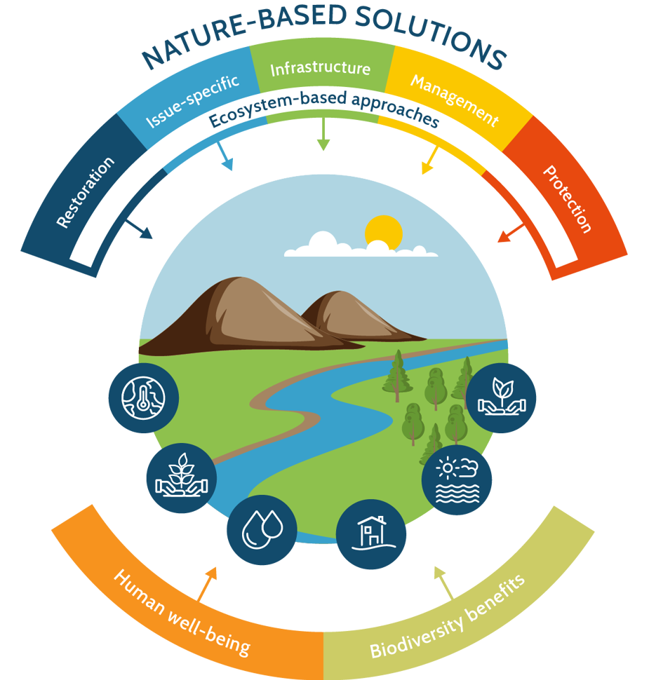How Nature-Based Solutions Offer a Technically Sound and Cost-Effective Future for the Water ...