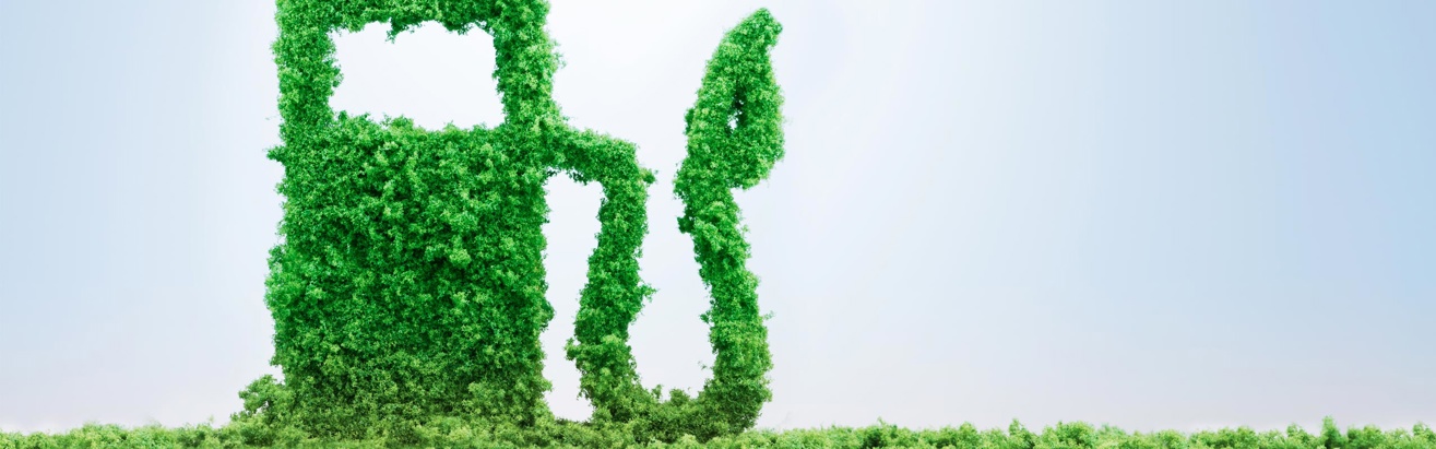 Alternative Fuels | Sustainable Fuels | Green Fuels | Adler & Allan