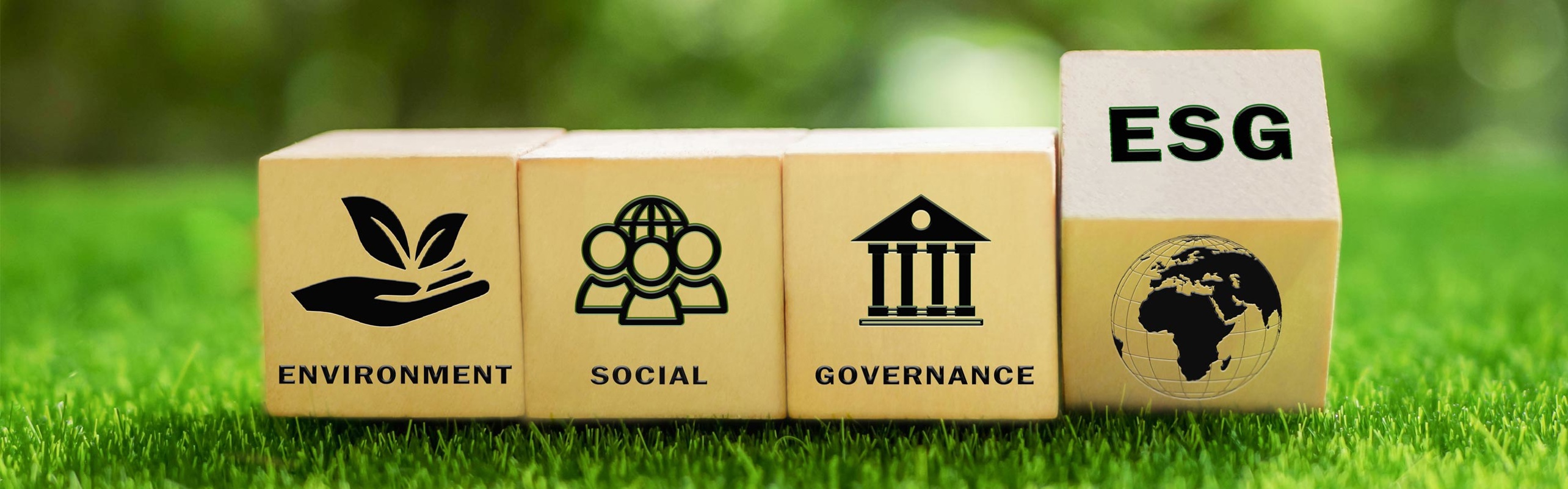 ESG Consulting | ESG Strategy Consultancy | Adler & Allan