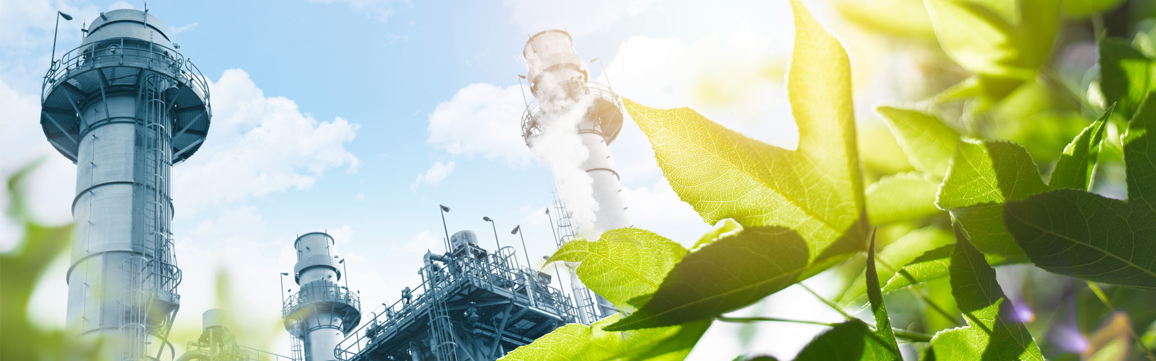 About | Adler & Allan