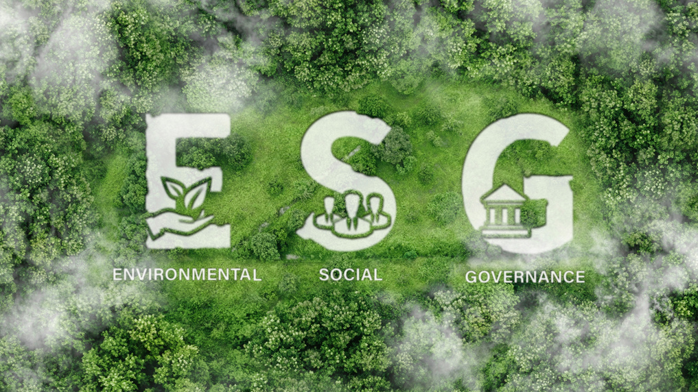 ESG in Action: How We Lead by Example | Adler & Allan