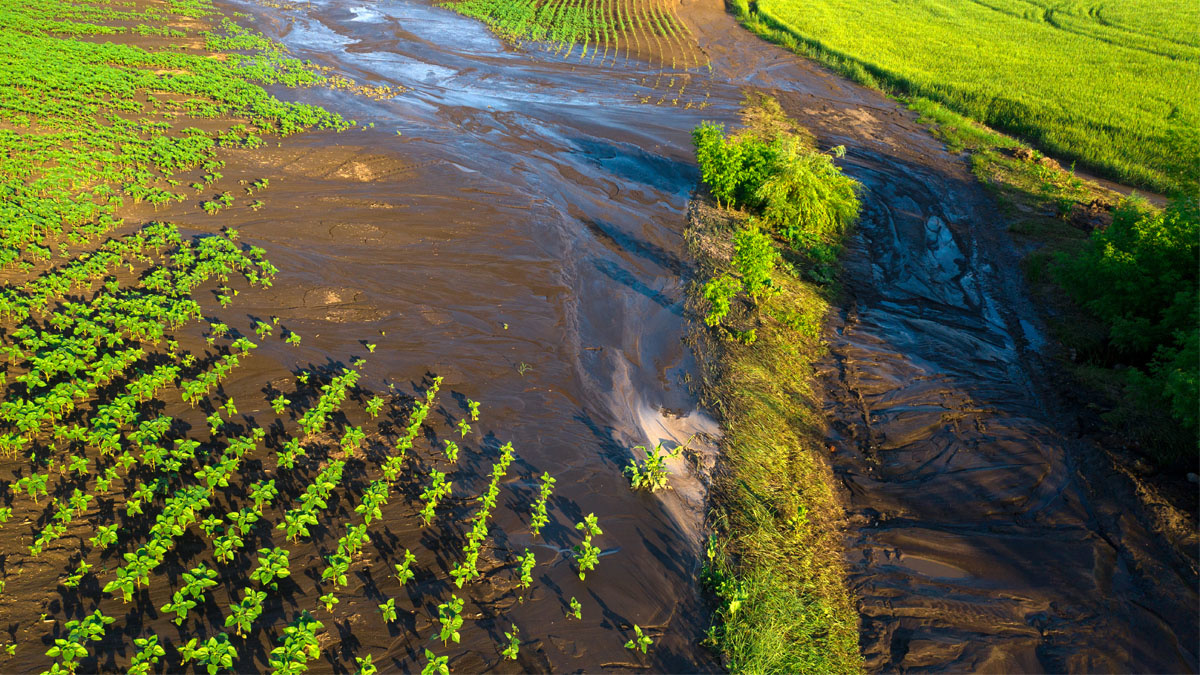 Adaptive Measures To Mitigate the Impact of Climate Change on Land ...