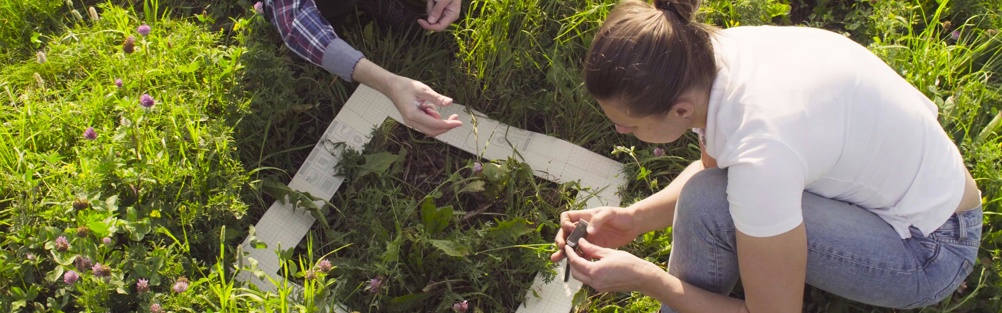 Terrestrial Ecosystem Management | Adler & Allan