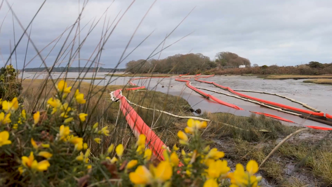 Protecting an Ecological Haven: Oil Spill at Poole Harbour Triggers ...