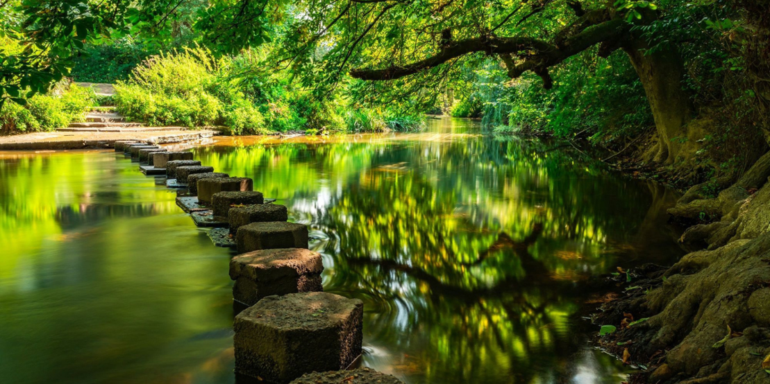Delivering The Water (Special Measures) Act: Supporting Compliance And ...