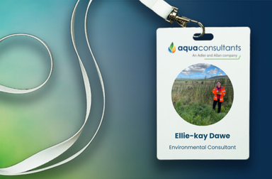 Our People | Adler & Allan