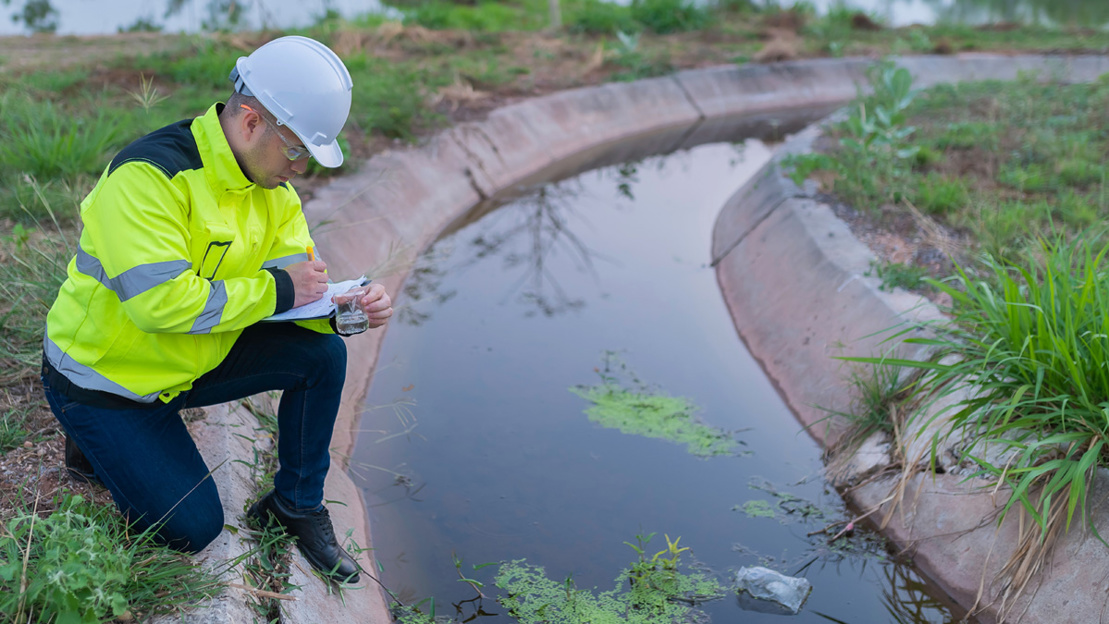 The Environment Agency’s New Chief Regulator | Adler & Allan