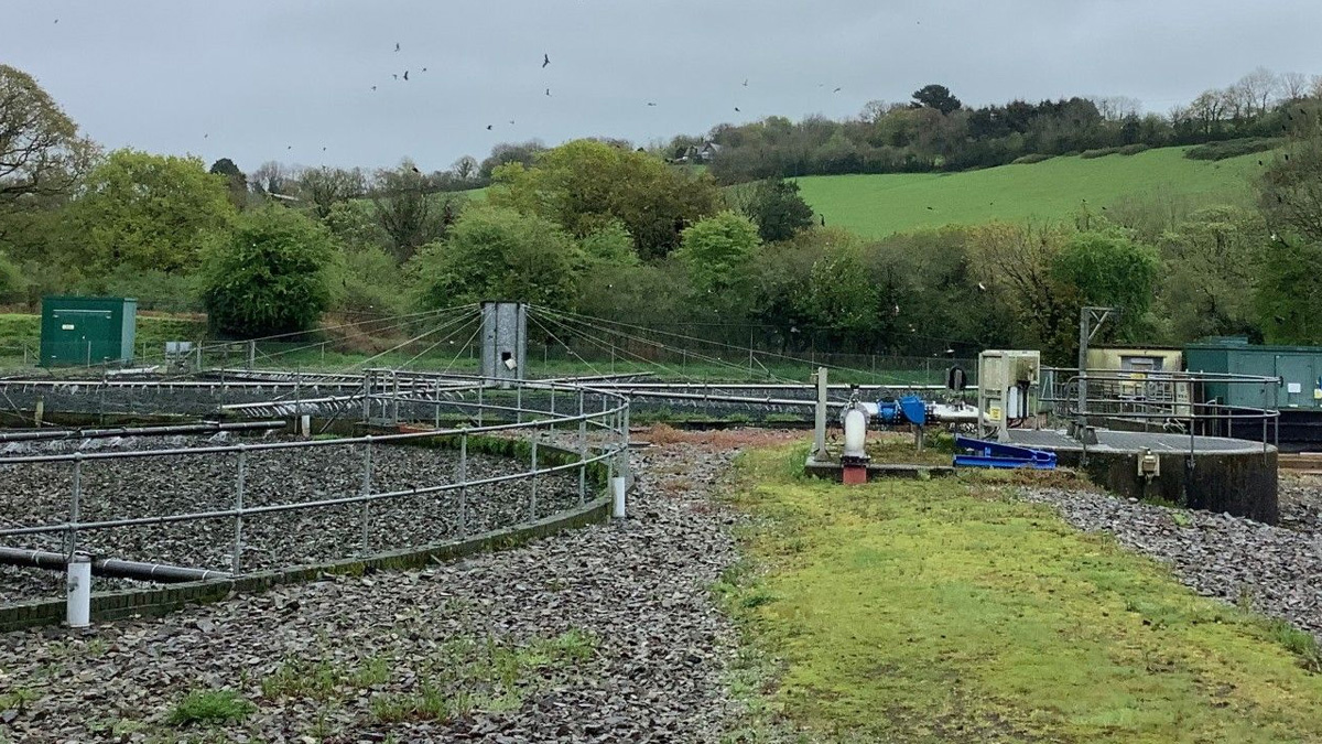 Baseline Biodiversity Net Gain Assessments for South West Water | Adler ...