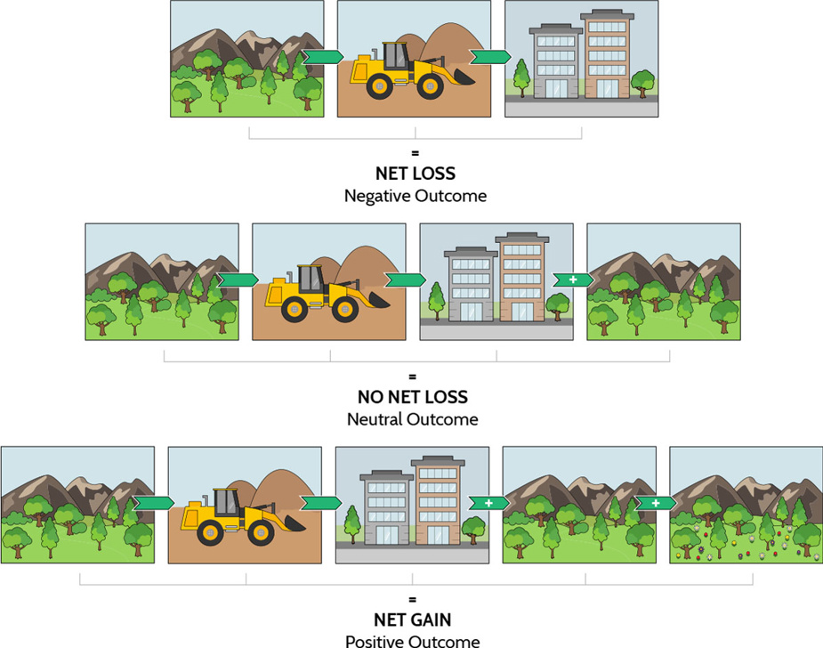 Biodiversity Net Gain | Adler & Allan